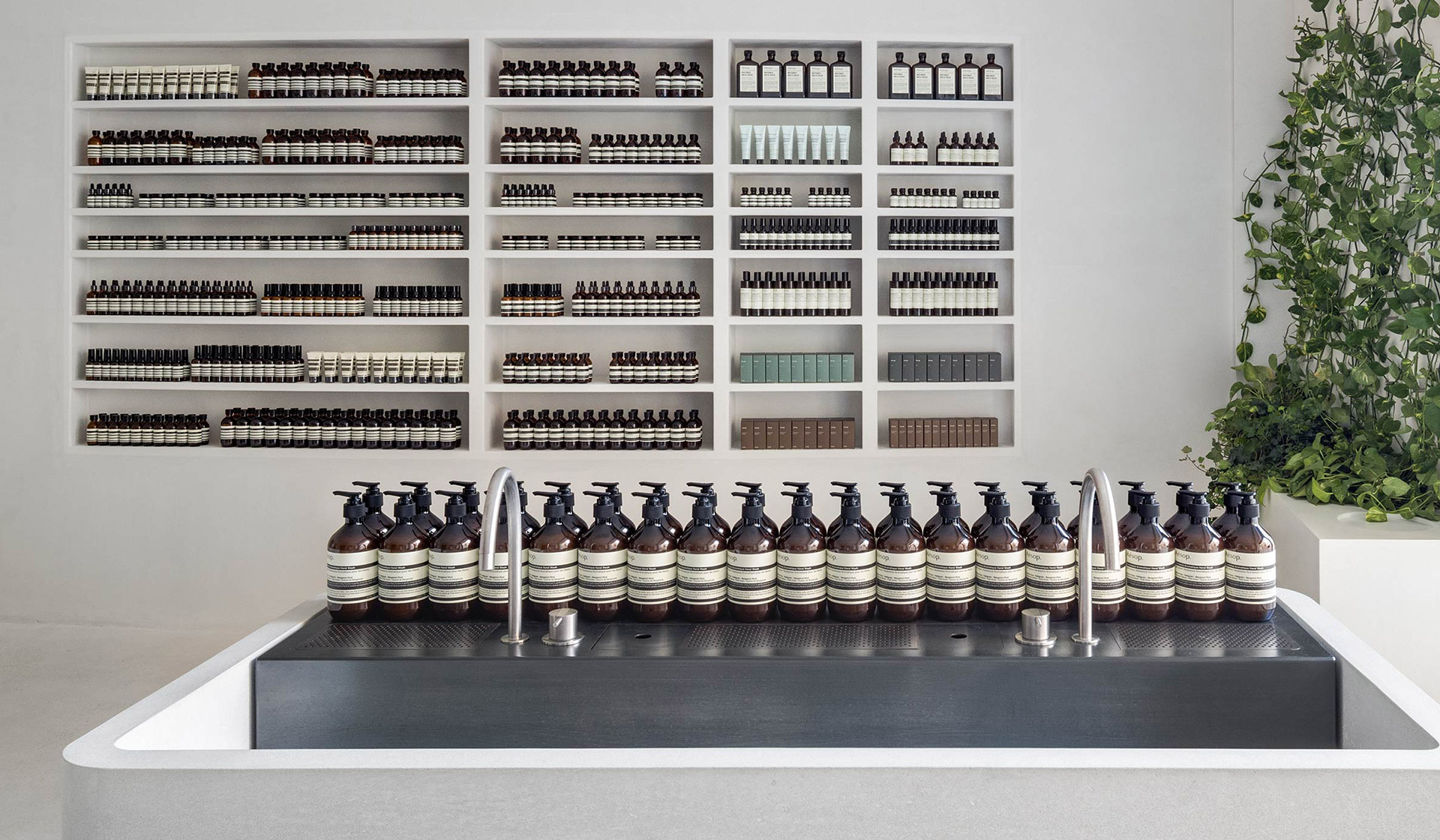 Aesop's Organic, Intentional and Inviting Aura